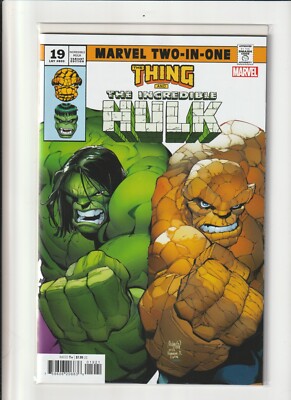 The Incredible Hulk #19 (2024) Marvel Two-in-One Variant / Milestone ...