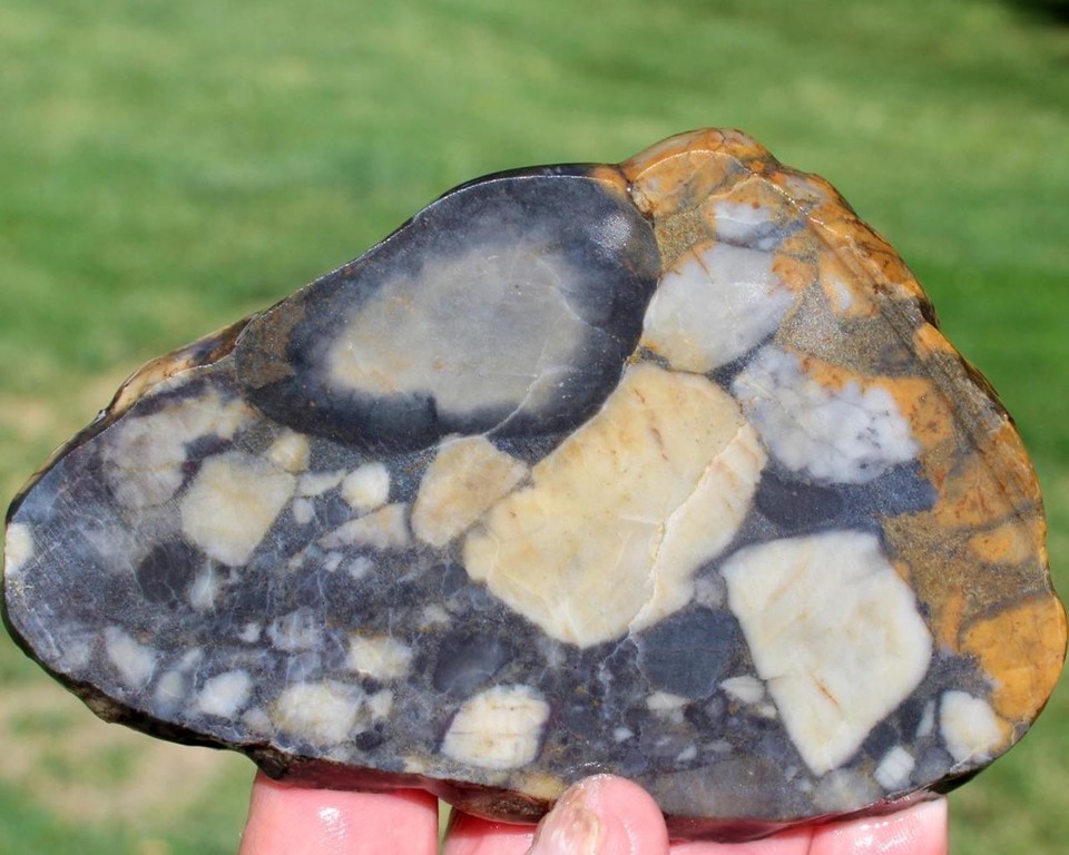"NEW FIND" WYOMING CONGLOMERATE SLAB 135 Gram jasper/agate/rock ...