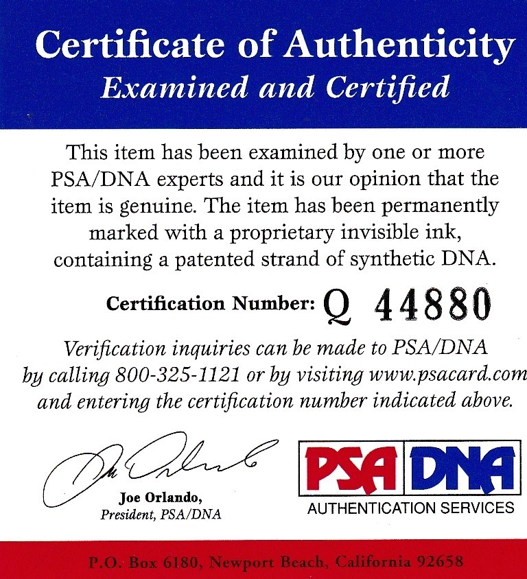 ANDIE MACDOWELL AUTOGRAPHED 8X10 COLOR PHOTO ACTRESS MODEL PSA/DNA COA ...