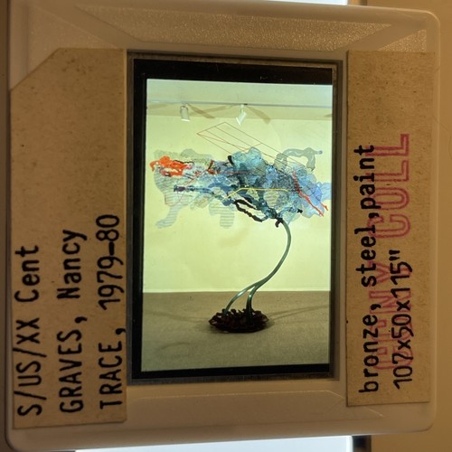 Nancy Graves “Tracee" Modern Sculpture 35mm Art Slide | eBay