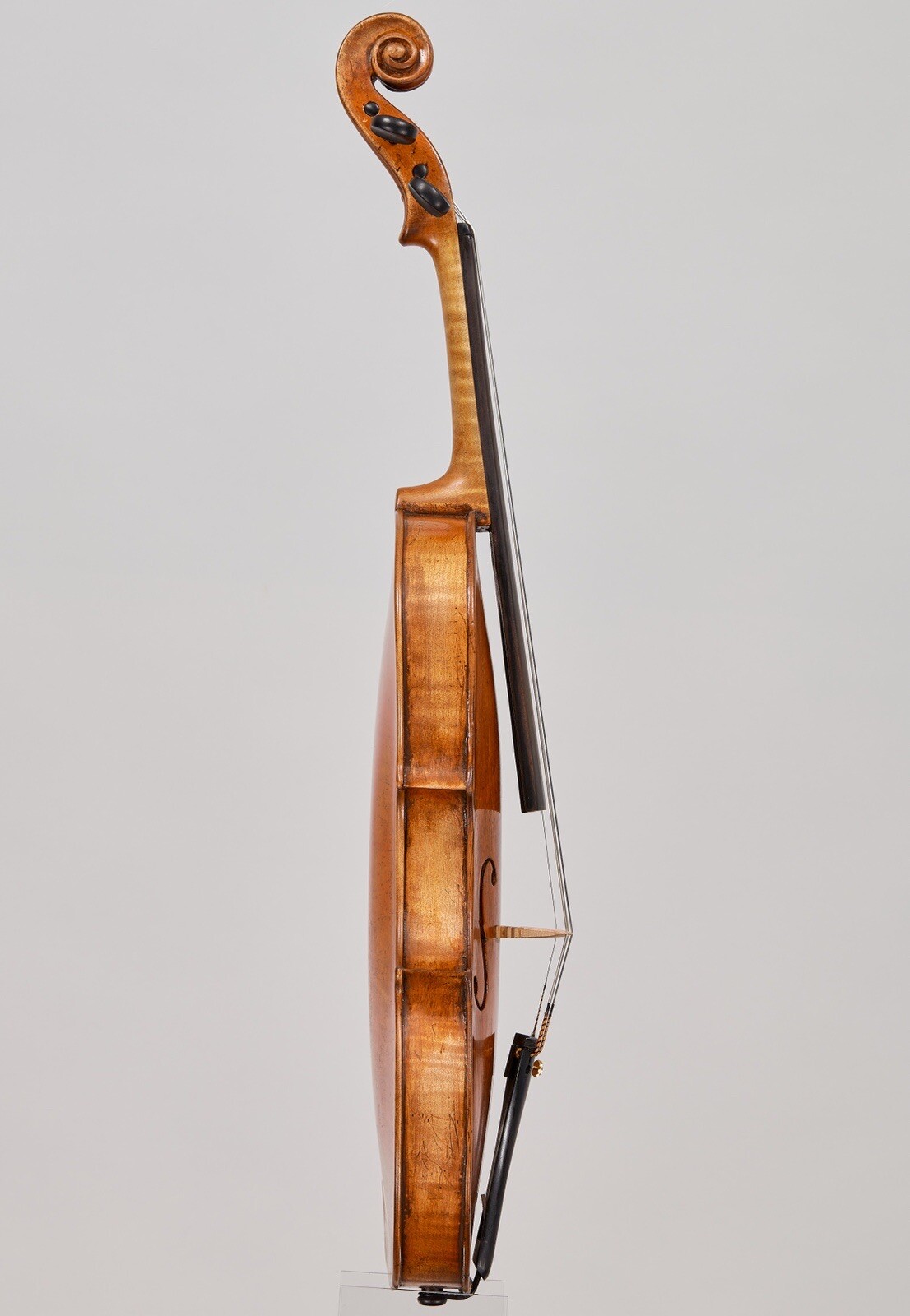 Labeled “Albanelli Franco Allievo Di Gaetano Pollastri” Violin | eBay