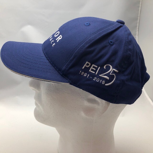 Vector Aerospace Hat Cap Adjustable OSFM Baseball Blue 1991 - 2016 ...