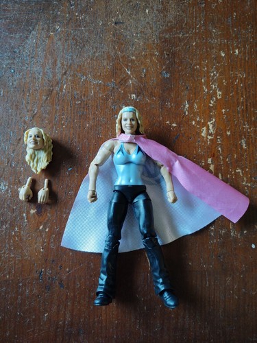 MATTEL WWE ELITE LEGENDS MIGHTY MOLLY HOLLY CHASE WRESTLING FIGURE BLUE ...