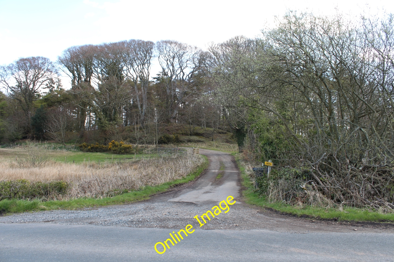 Photo 12x8 Entrance to Longrigg Ardwell/NX1045 Up at the corner you go ...