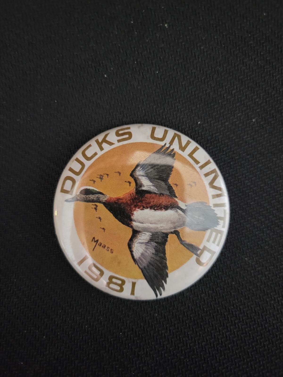 Vintage 1981 DUCKS UNLIMITED Button Pinback Pin Badge 2.25" Rochester ...