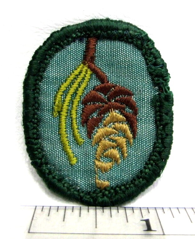 Vintage Pinecone Troop Crest Patch Merit Badge 1960's Girl Scouts of ...