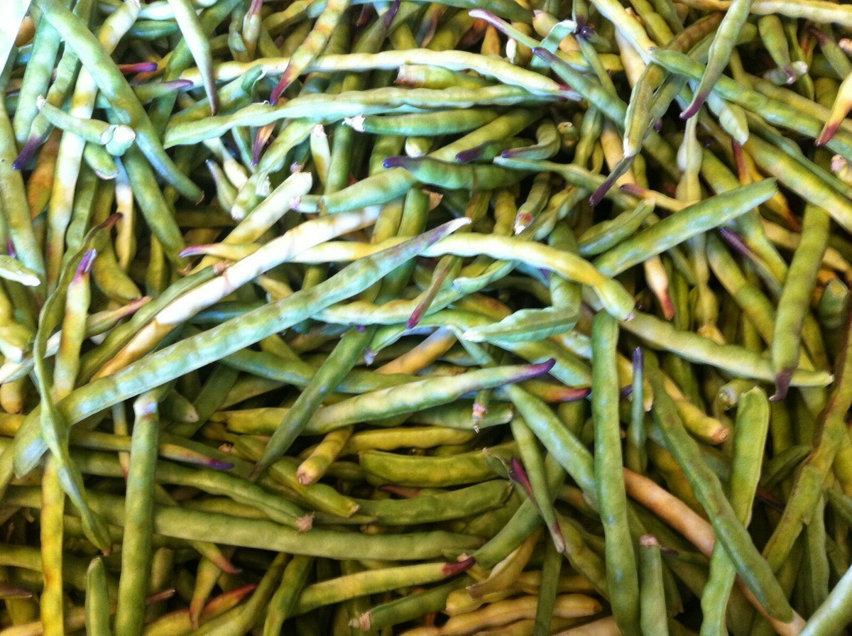 Pictures Of Zipper Peas