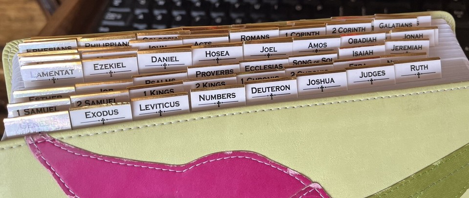 NIV Bloom Collection Bible Limited Edition | eBay