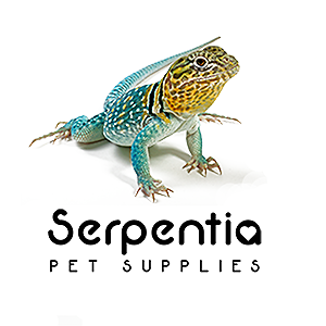 Serpentia Reptile & Pet Supplies | eBay Stores