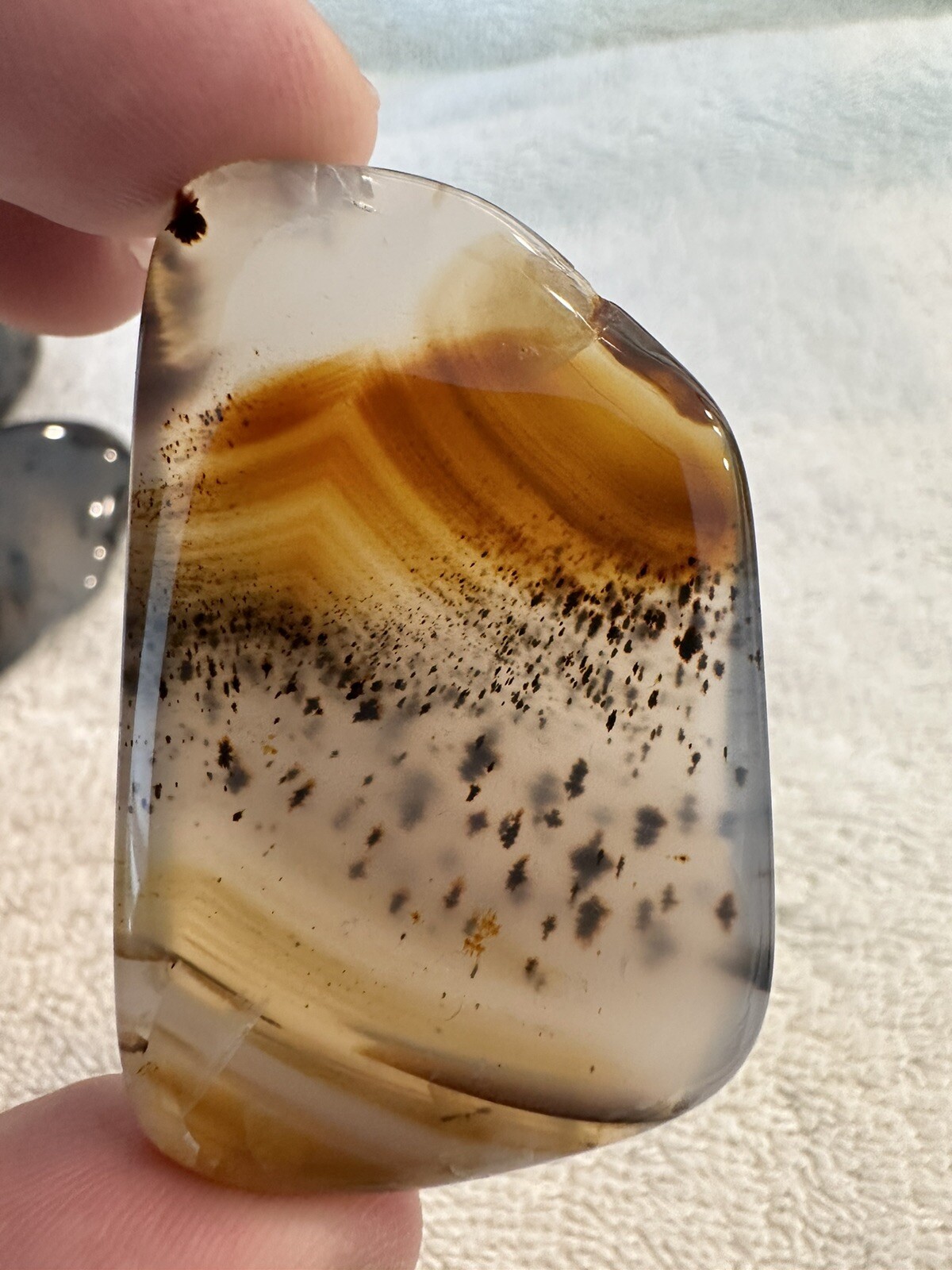 3-montana moss agates tumbled | eBay