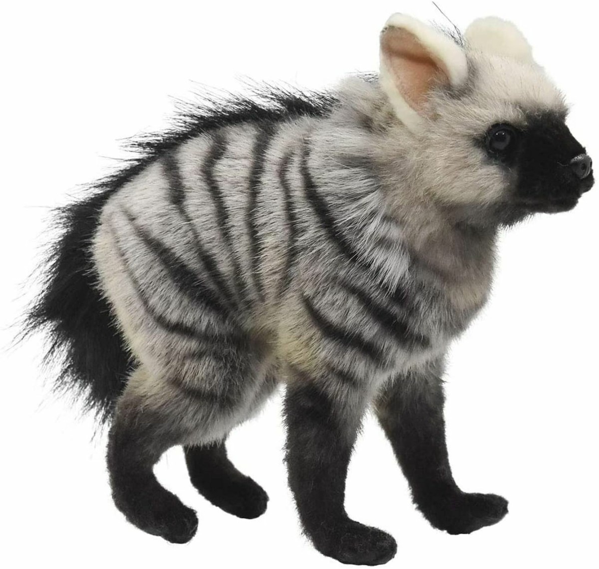Baby Aardwolf