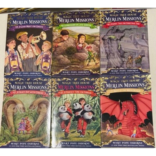 Lot of 20 Magic Tree House Merlin Missions Children's Books by Mary ...