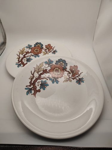 Pair Of Barratts Of Staffordshire England Floral Dinner Plates Mid ...