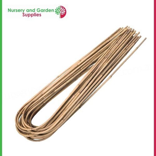 Bamboo U-Cane Trellis / Plant Support - Pack of 10 - 45cm long & 8-10mm ...