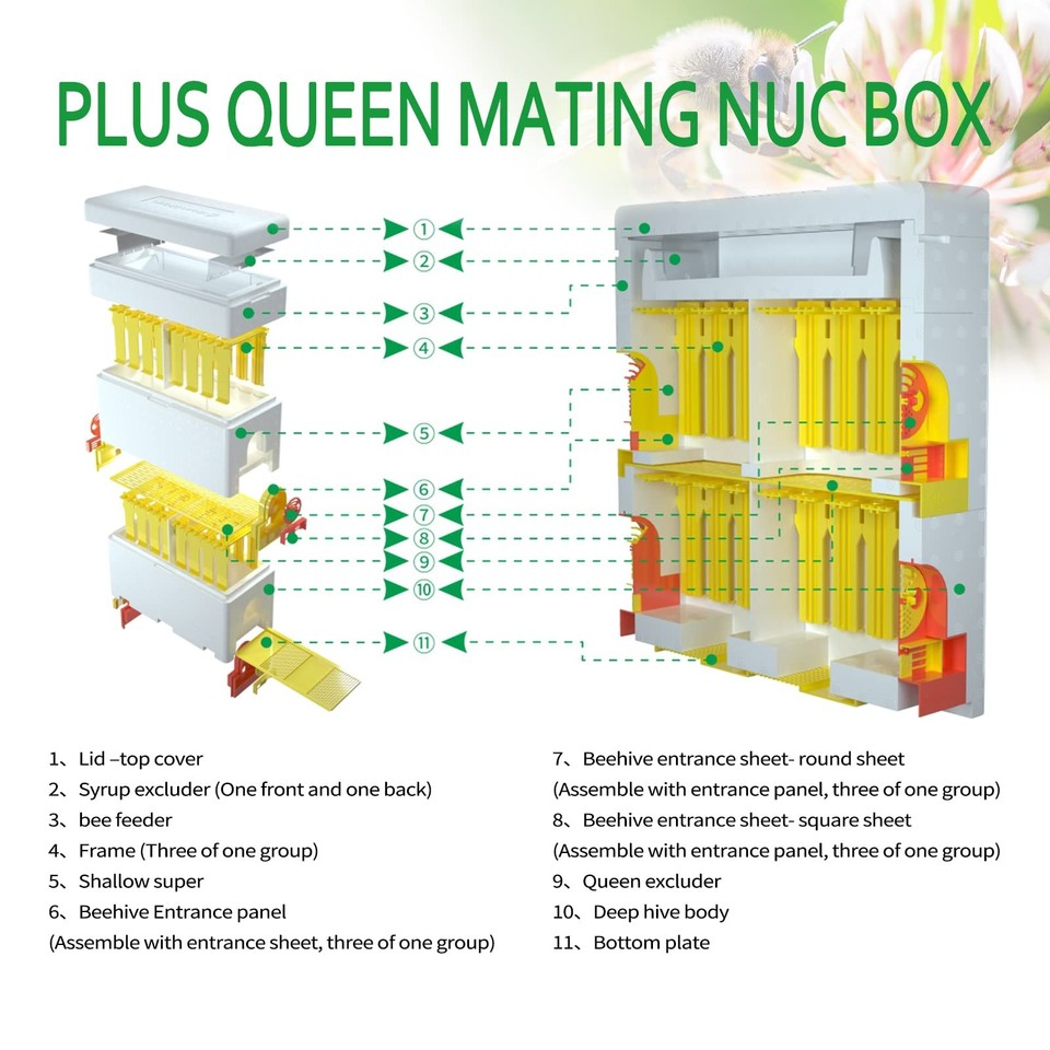 Bee Hives Boxes Plus Double Layer Queen Bee Mating Nuc Box Nuc Box for ...