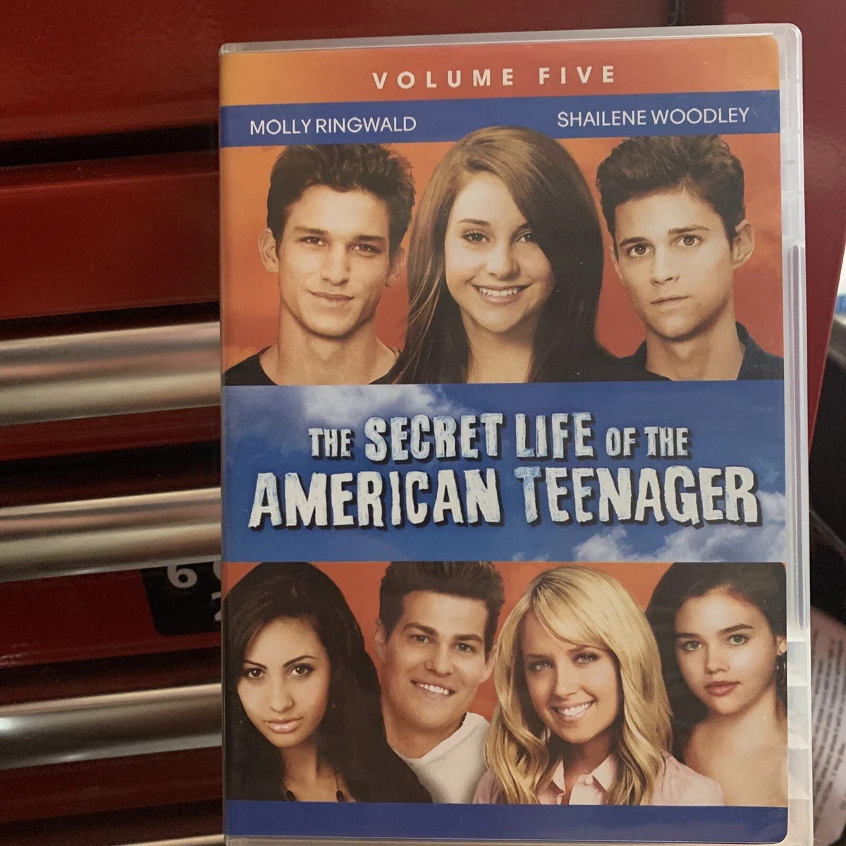 The Secret Life Of The American Teenager Season 1 Amy