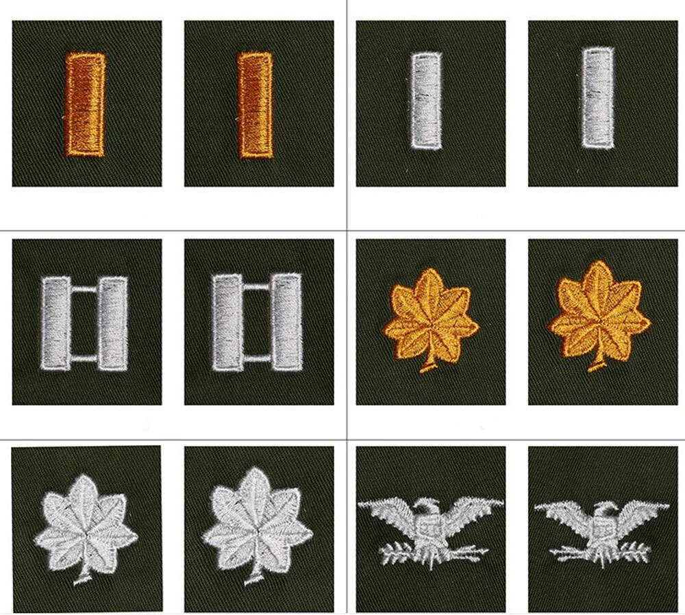 Ltc Rank Clipart Fish