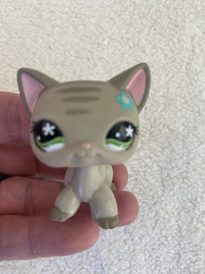 Littlest Pet Shop LPS Shorthair Cat Gray Blue Eyes Blue Flower 2006 | eBay