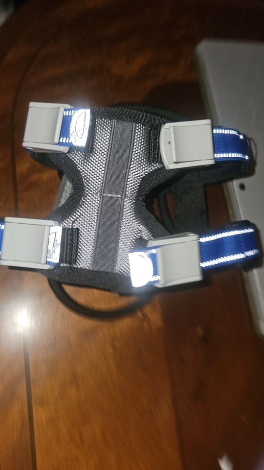 Cesar Millan Pack Leader Collar Small Training Collar of The Dog ...