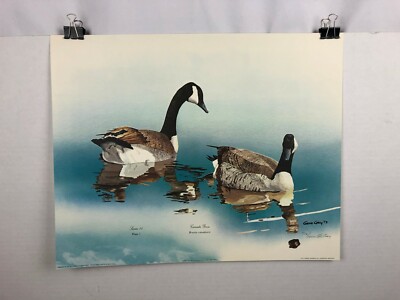 Gene Gray Canada Goose Geese Bird Wildlife Art Print Signed | eBay