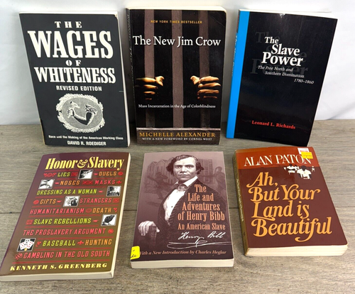 Civil Rights Book Lot – New Jim Crow, Slavery, Henry Bibb ...