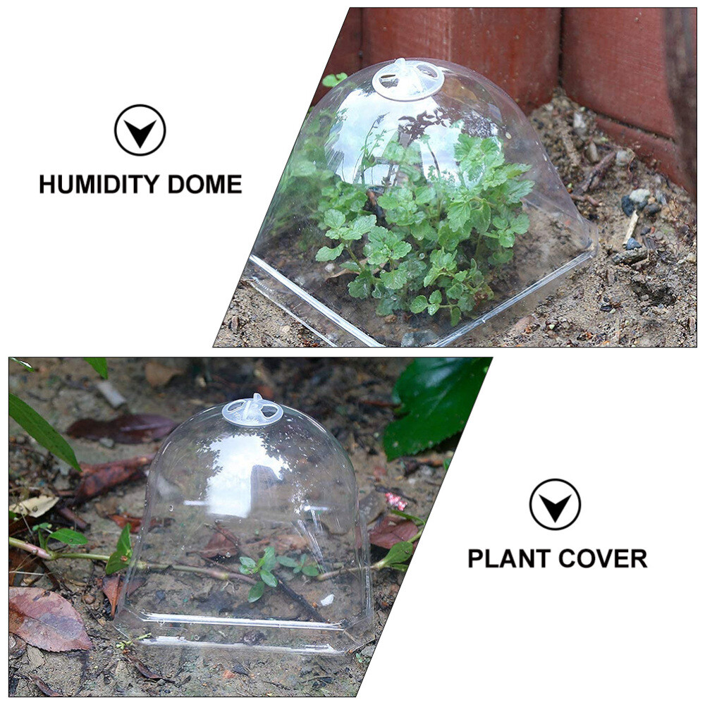 plant domes for Clear Humidity Dome Garden Cloche Plant Dome | eBay