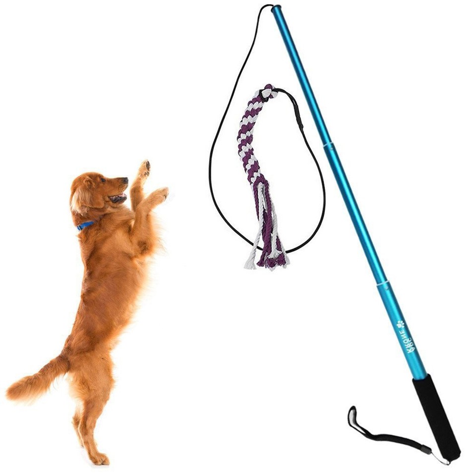 Interactive Dog Teaser Extendable Flirt Pole Blue for Puppy Training ...