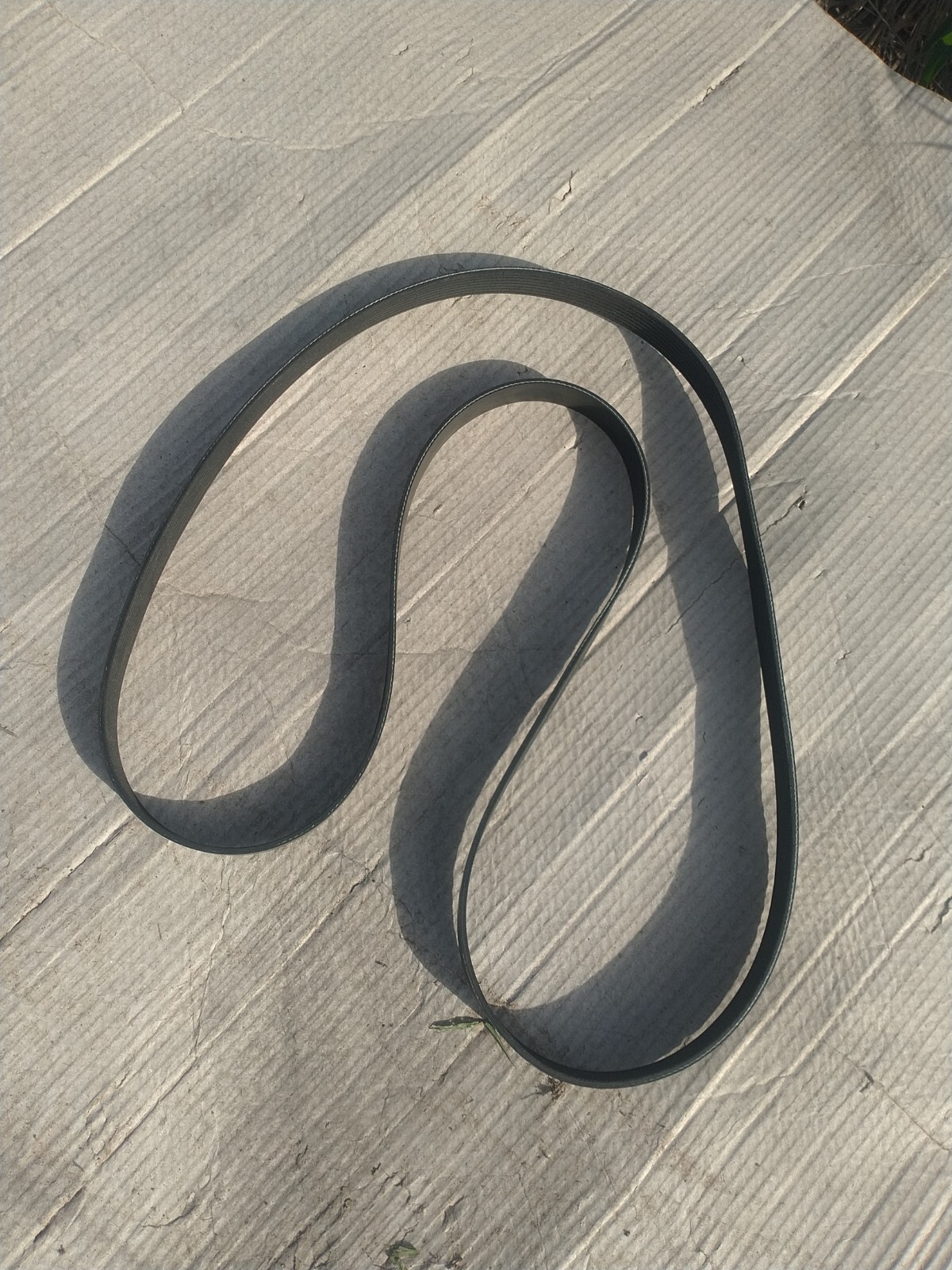 Fits Freightliner 01-32732-147 Accessory Drive Belt 8 Rib, Epdm, Poly ...