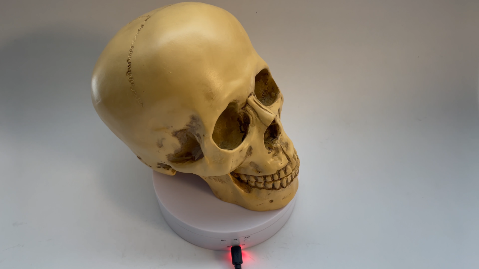 Human Skull Replica Life Size Skulls Vintage Style Medical Skeleton | eBay