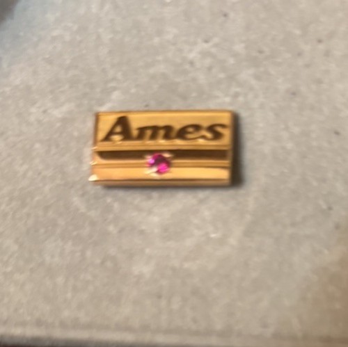 Vintage AMES Department Stores Employee 10 Year Service Award 10K Gold ...