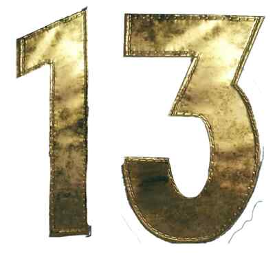 Fallout - Vault 13 Cosplay Back Patch for Vault Suits | eBay