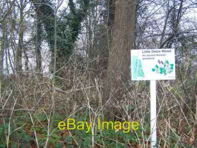 Photo 6x4 Little Delce Wood Chatham/TQ7665 Tiny Patch of woodland on ...