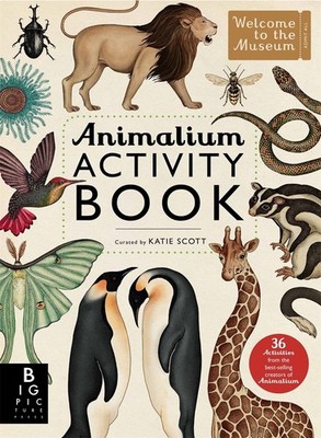 Animalium Activity Book | eBay