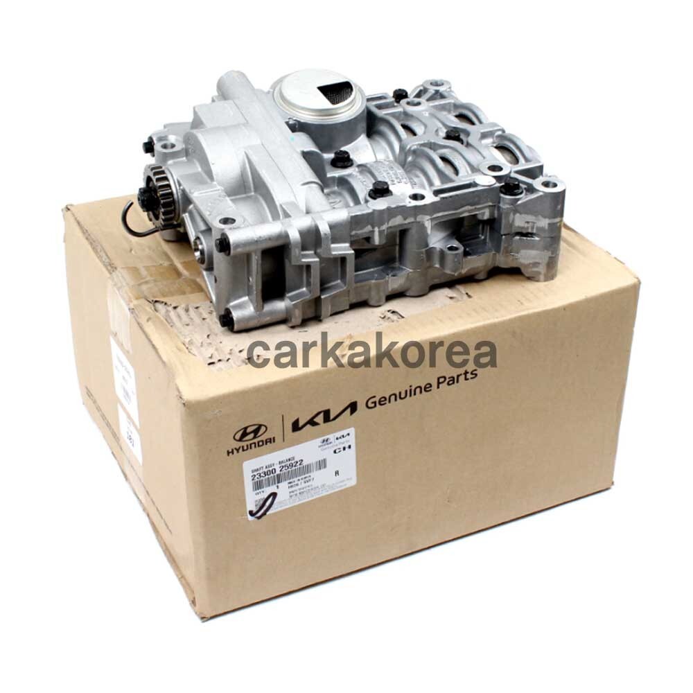 🚀Genuine 2330025922 Shaft Balance Oil Pump For Sonata 06-09, Tucson 10 ...