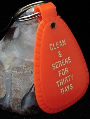 NARCOTICS ANONYMOUS NA ORANGE KEY TAG 30 DAYS medallion Chip Token ...