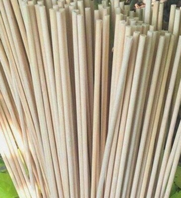 Reed Diffuser Sticks X 40 Pieces 8" Natural Replacement Bamboo Reeds ...