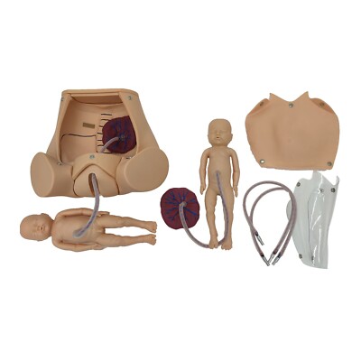 Lab Childbirth Comprehensive Skill Training Model Medical Education ...