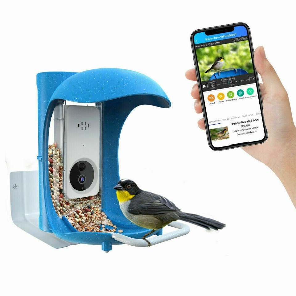 Birddock Smart Bird Feeder W.Camera HD 1080p Video Ai-Recognition | eBay