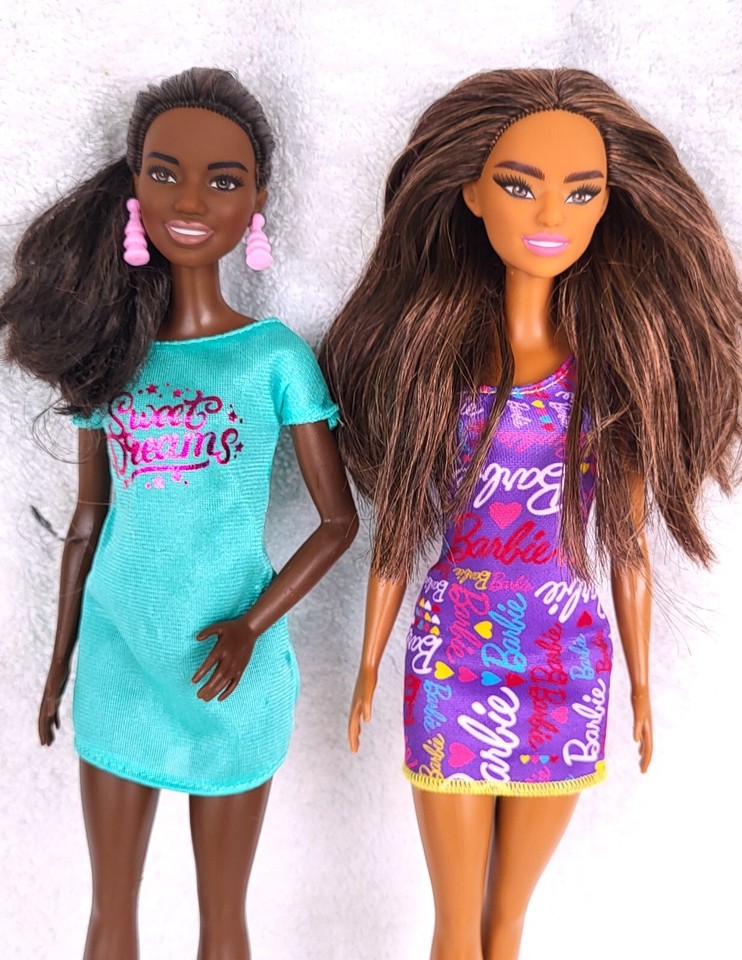 AA hispanic Barbie Teresa FASHIONISTAS BARBIE Doll FXL46 #106 Mattel ...