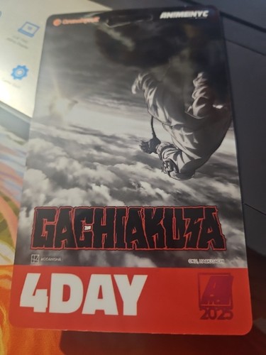 Animecon 4 Day Pass | eBay