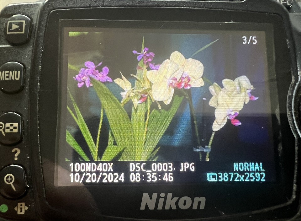 Nikon D40X 10.2MP Digital SLR Camera kit 18-55mm, 55-200mm lenses, SD, batt/chgr 18208881611| eBay