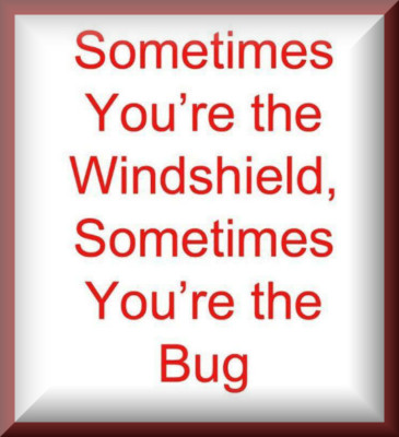 Windshield VS Bug Meme, Flat Flexible Toolbox - Refrigerator Magnet, 42 ...