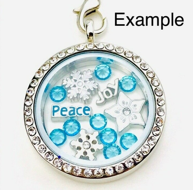 Floating Charms Medical Nurse Doctor fit Glass Lockets | eBay