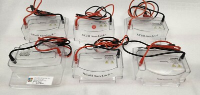 Invitrogen gel surelock cell blot module Xcell II blotting tray | eBay