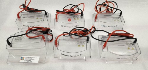 Invitrogen gel surelock cell blot module Xcell II blotting tray | eBay