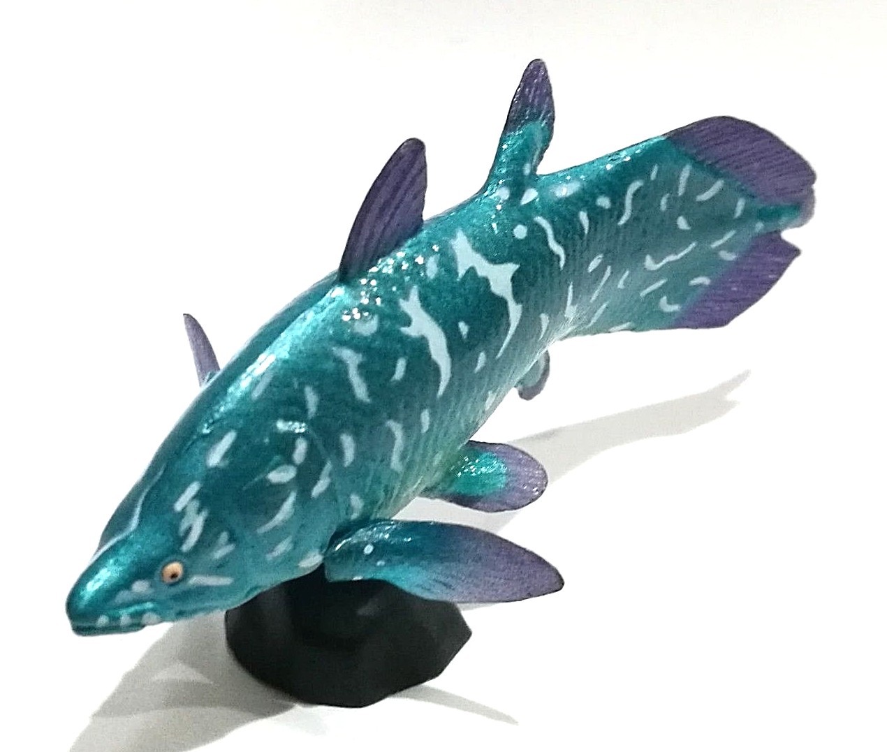 Japan Kaiyodo Dinotales Axelrodichthys Coelacanth Realistic Fish Figure ...