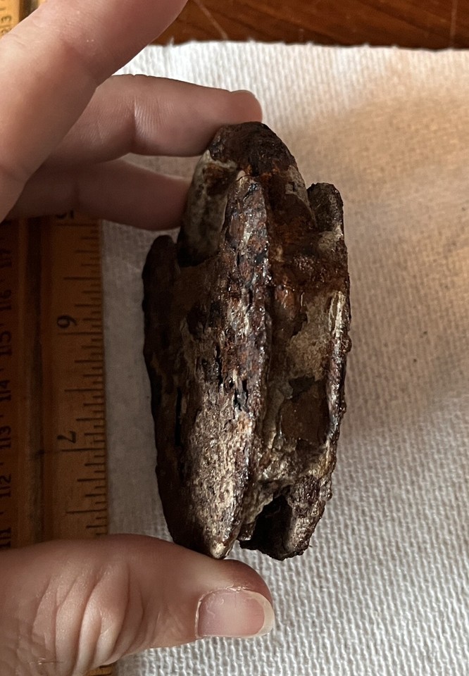 Large Iron Padlock Relic - Dragoons - dug at Fort Inge Texas pre-Civil ...