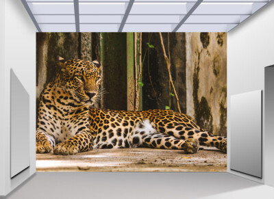 Cheater Wallpaper mural vinyl material to suit custom size wall DIY ...