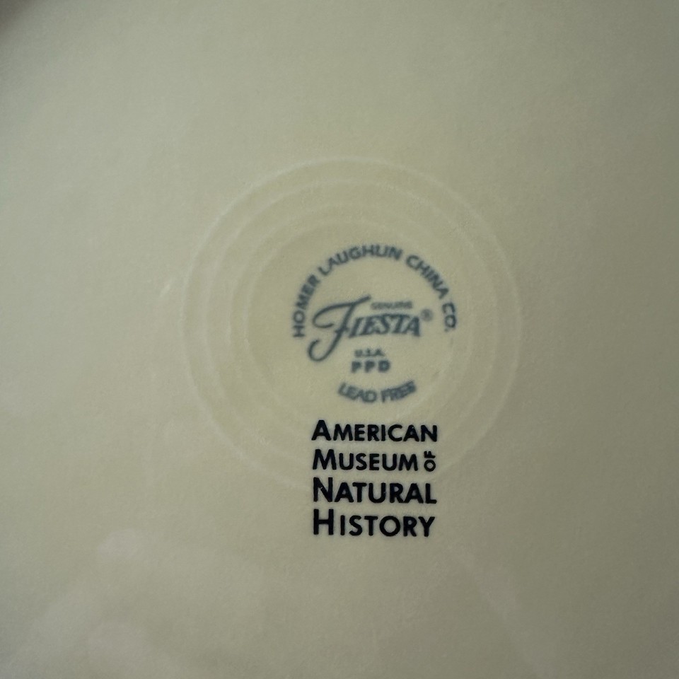 Fiesta Homer Laughlin China Rocket To The Moon Cake Plate Dish AMNH ...