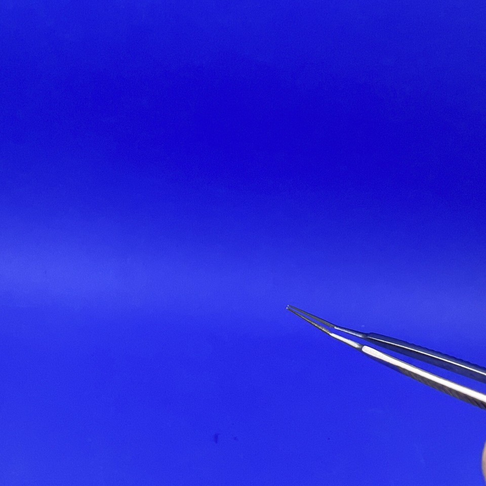 Storz E1815 A & E1815 AB Bechert-McPherson Ophthalmic Tying Forceps ...